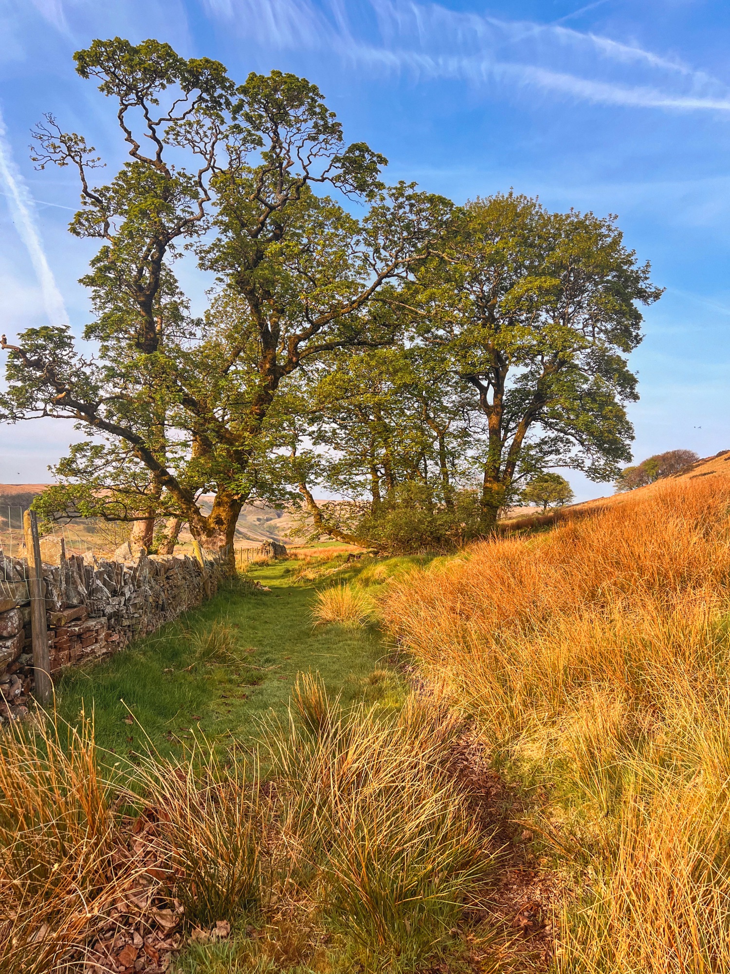 Helmshore: The end of April – A Dull Woman's Van Life